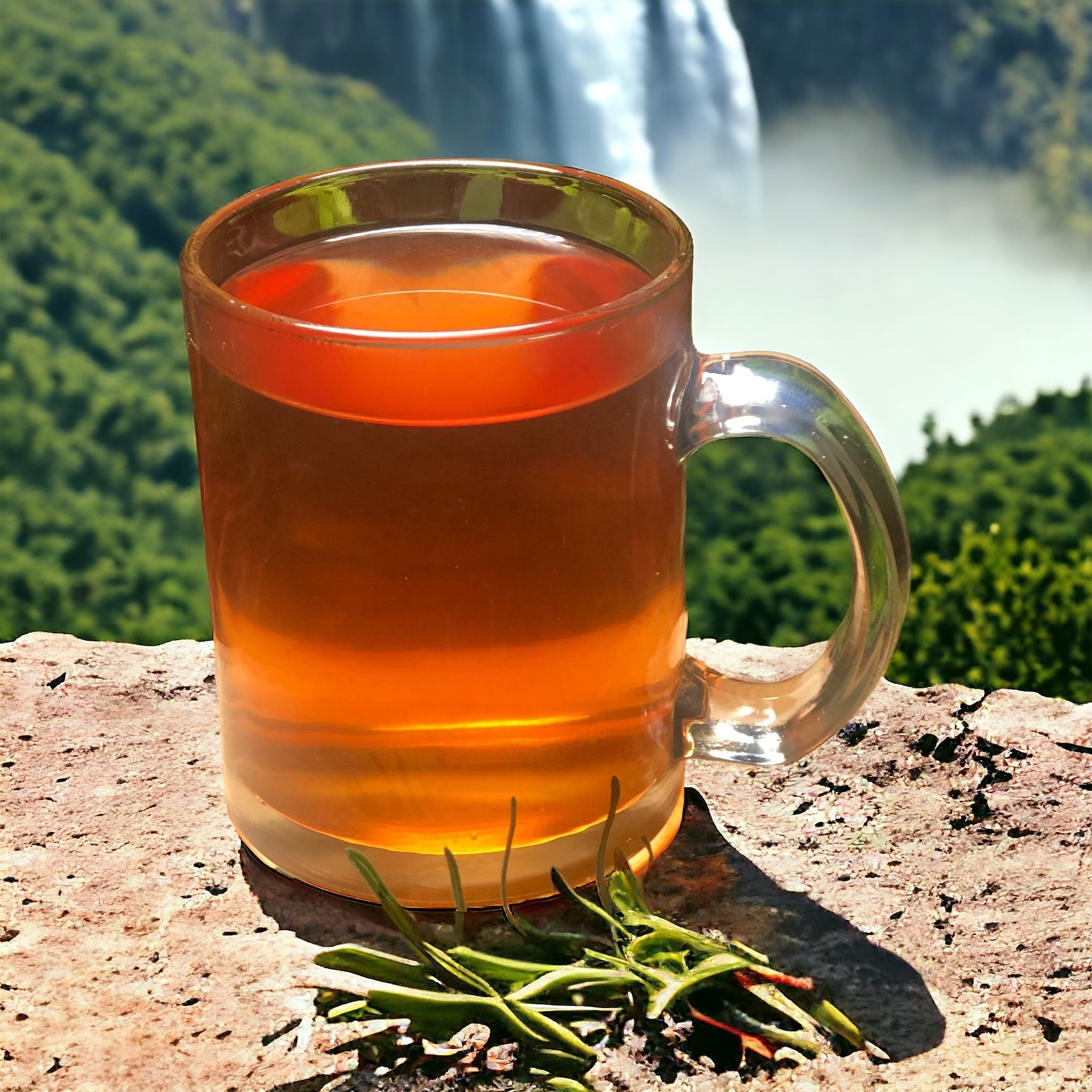 Pain ReLeaf – Nature’s Medicine, LLC